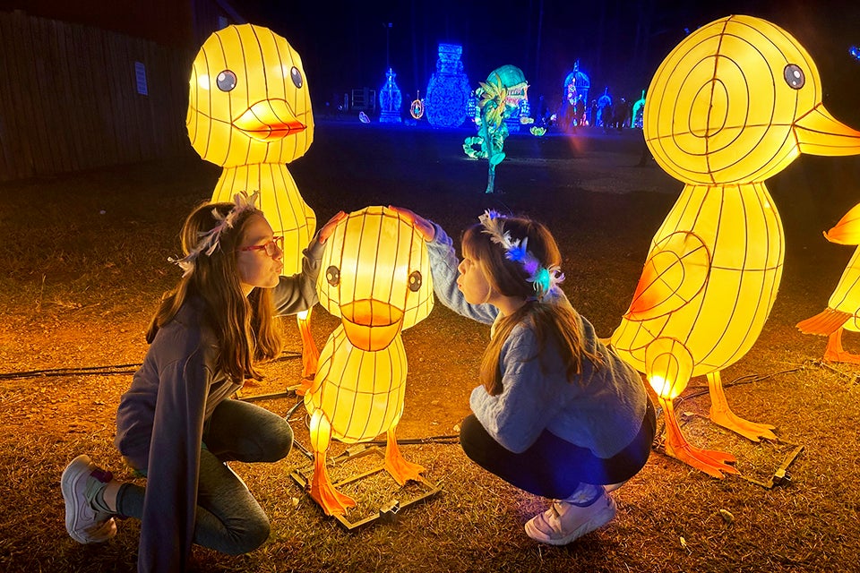 Winter Lantern Festival Atlanta Lights Up the Holiday Season | Mommy ...