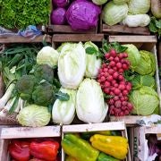 Organic Farm Shares in New Jersey | Mommy Poppins - Things To Do in New ...