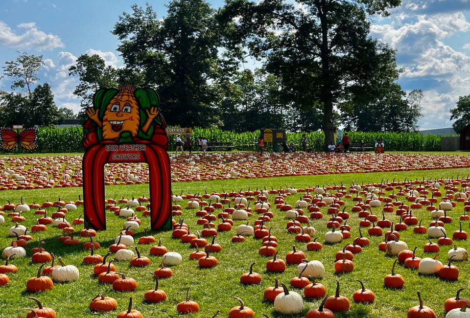 Fair Weather Growers Fall Festival in Cromwell | Mommy Poppins - Things ...