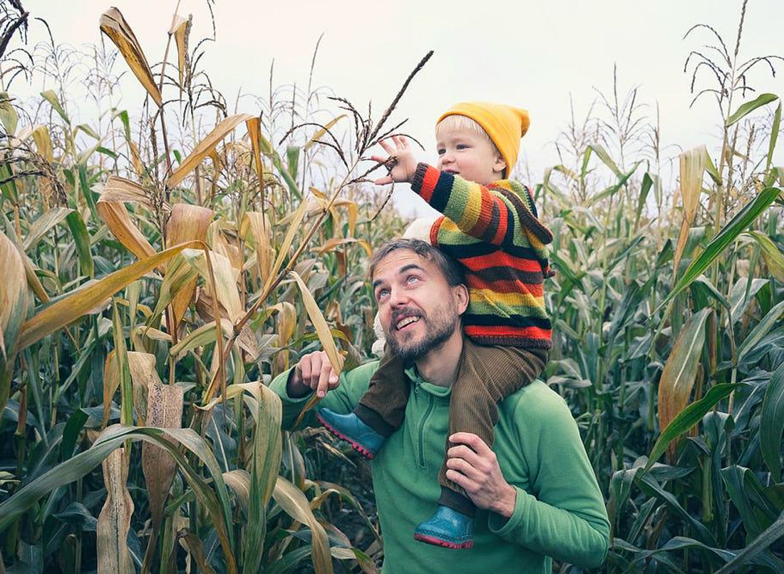 Best Corn Mazes Near DC for Kids and Families | Mommy Poppins