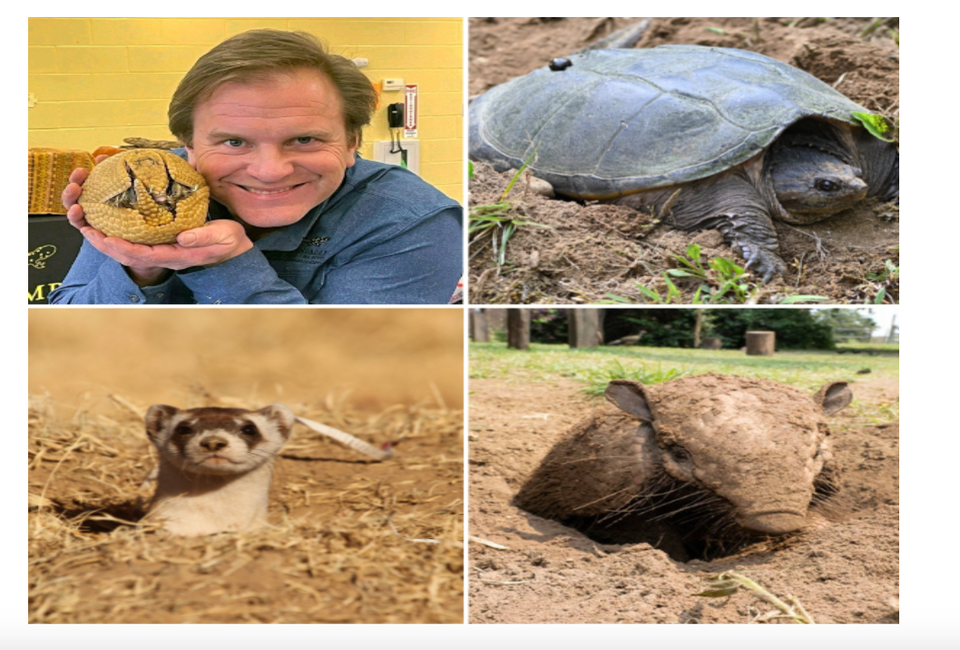 Digging into Nature with Newtown Community Center | Mommy Poppins ...